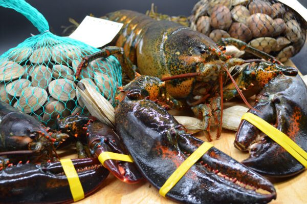 Discover the Finest Seafood at - Bar Harbor Seafood